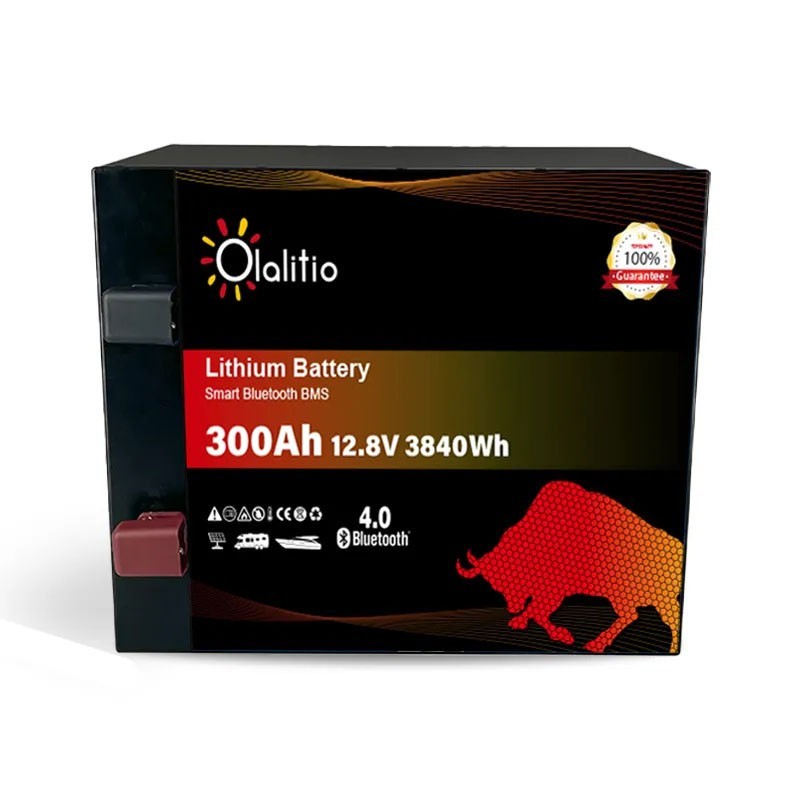 Batteria al litio 300ah 12v LiFePO4-Bluetooth-BMS-Olalitio